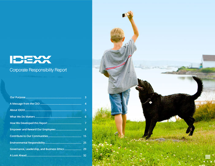 IDEXX